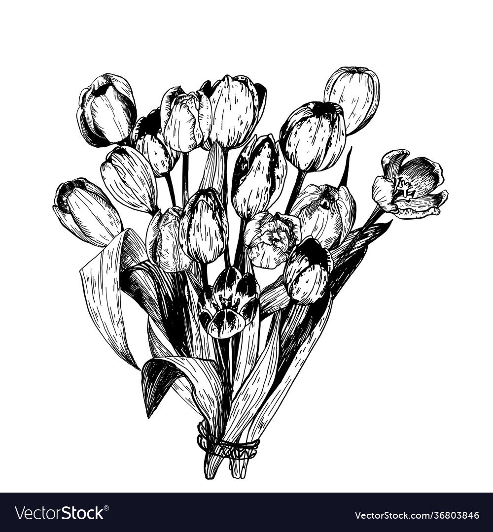 Букет тюльпанов рисунок - 76 фото